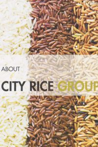 City Rice បង្កើនផលិតផលដើម្បីពង្រីកការនាំចេញ – City Rice